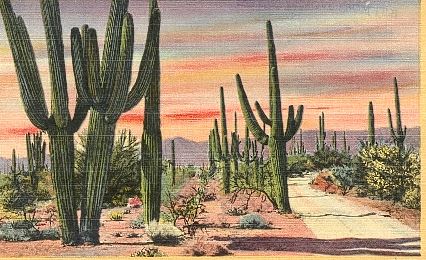 Tucson or bust